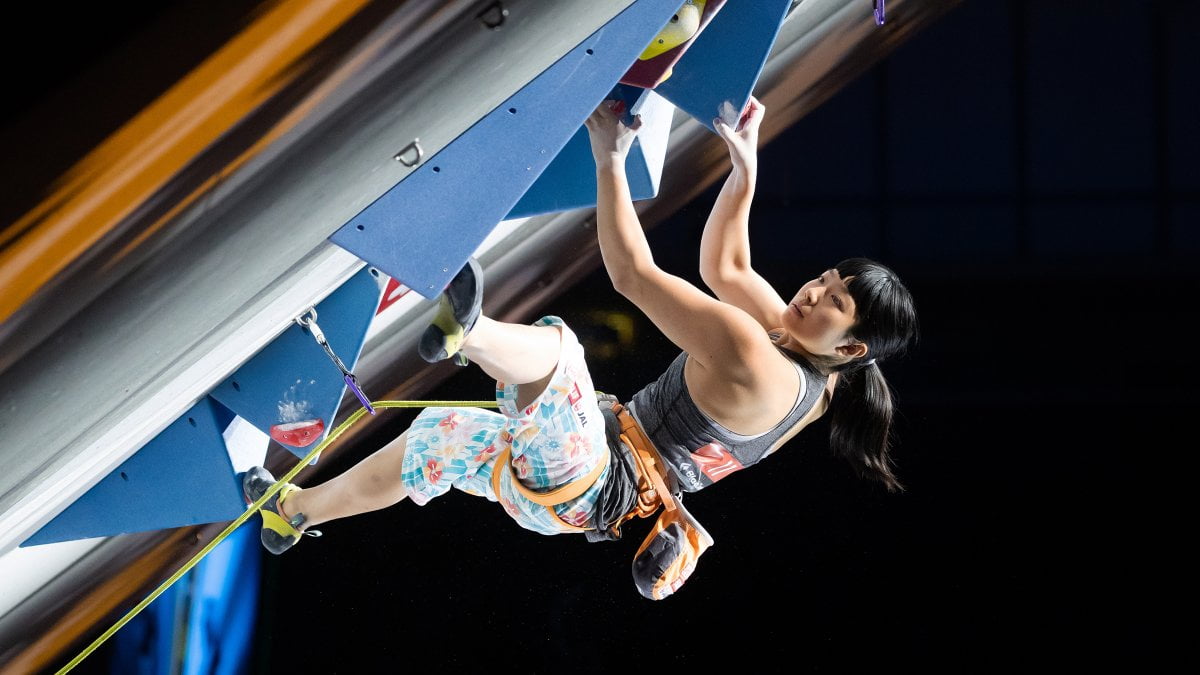 Climbing In The 2020 Olympics Explained Mountain Planet climbing-in-the-2020-olympics-explained-mountain-planet