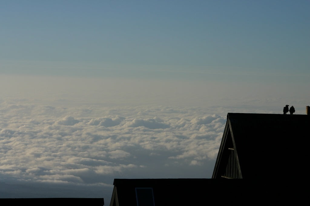 All You Need To Know Before Climbing Mount Kilimanjaro Safely ...